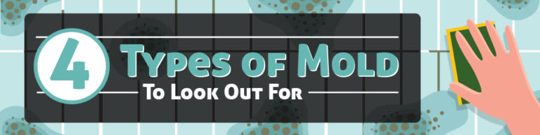 4 Types of Mold You Might Find | Alpha Environmental Services