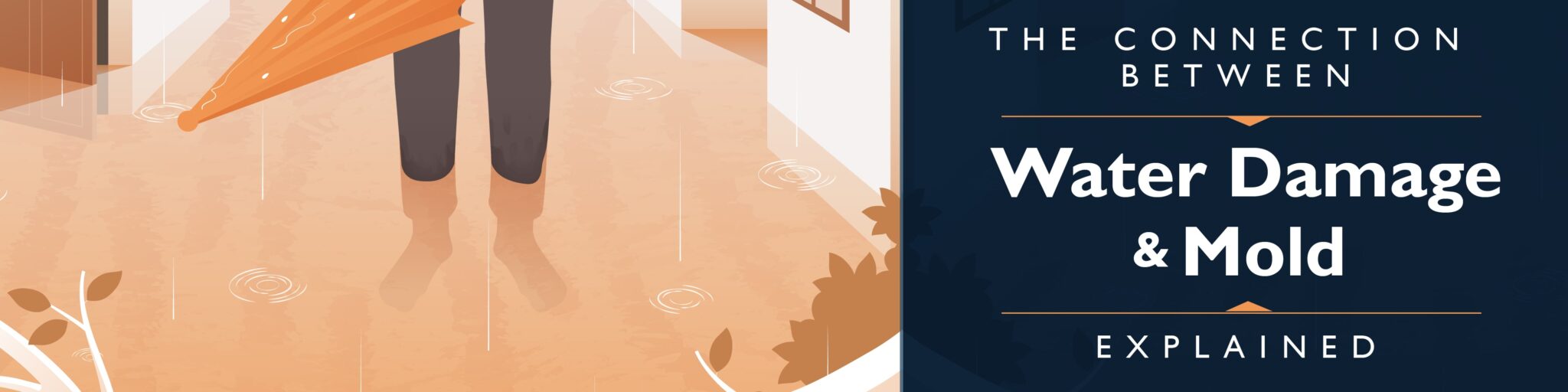 The Connection Between Water Damage & Mold Explained