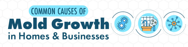 Common Causes of Mold Growth in Homes and Businesses